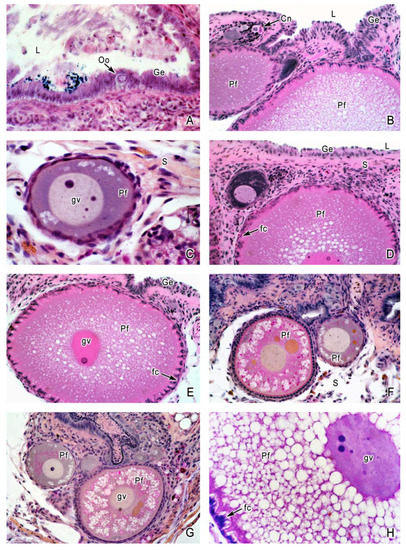 Fishes | Special Issue : Fish Reproductive Physiology and Aquaculture