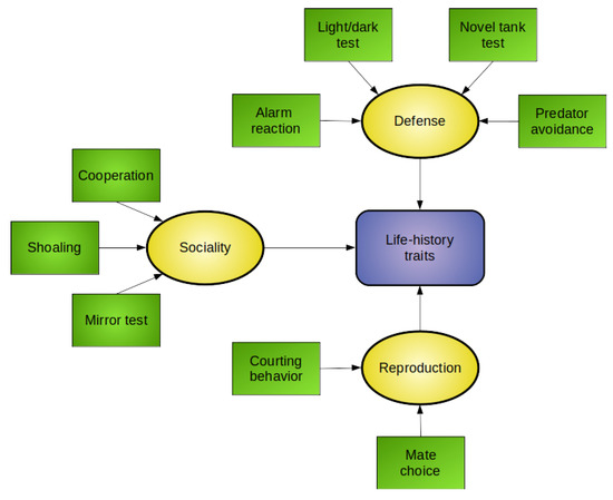 Fishes | Special Issue : Fish as Model Organisms for (Eco)Toxicology ...