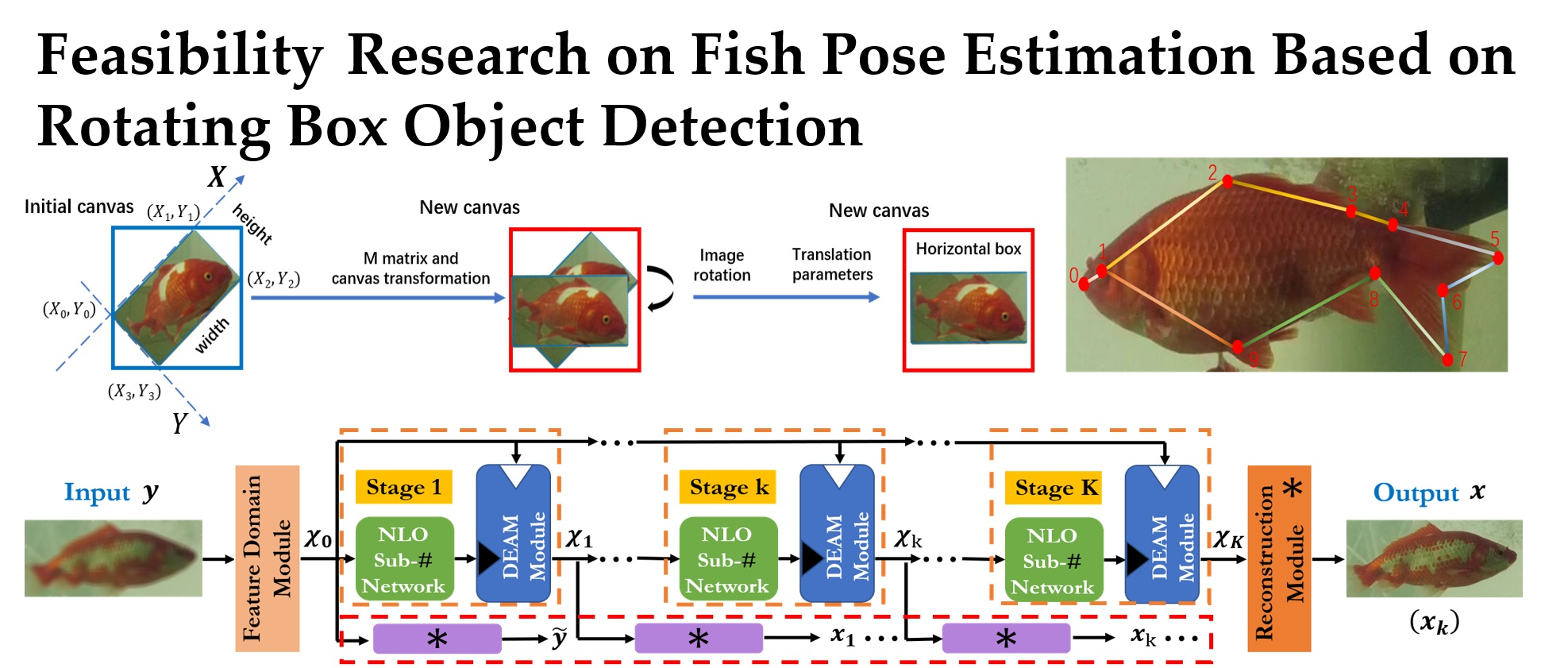 Fishes | Free Full-Text | Feasibility Research on Fish Pose Estimation ...