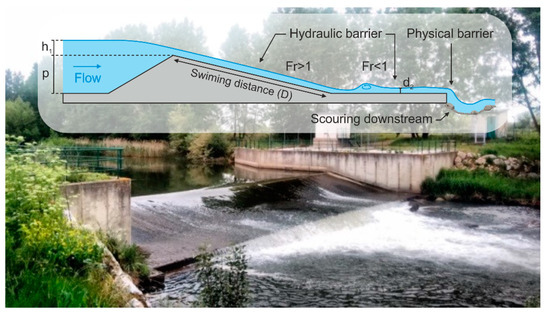 Fish Upstream Passage through Gauging Stations: Experiences with ...