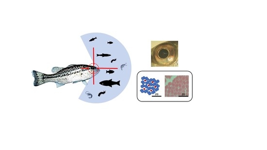 Fishes | Free Full-Text | Correlation between Feeding Behaviors and ...