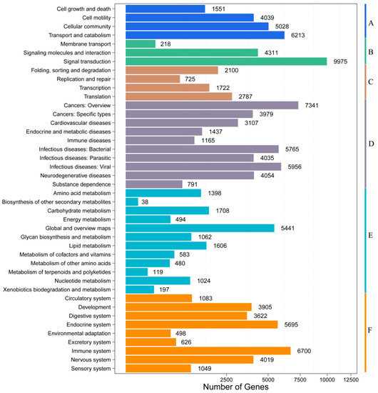Fishes | An Open Access Journal from MDPI