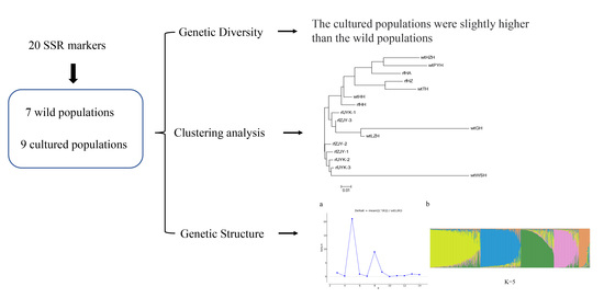 Fishes | Free Full-Text | Genetic Diversity Evaluation and Population ...