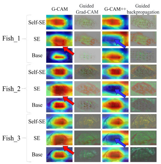 Fish Face Identification Based on Rotated Object Detection: Dataset and ...