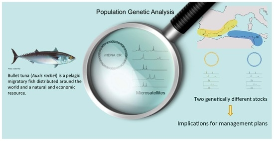 Fishes | Free Full-Text | Larval Retention and Homing Behaviour Shape ...