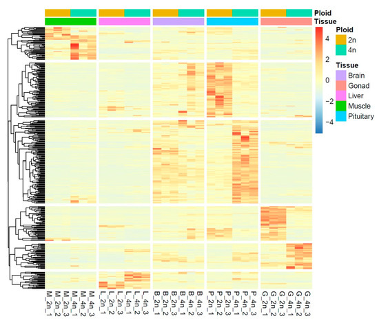 Fishes | Free Full-Text | Evidence for the Growth Superiority and ...