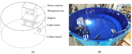 An Automatic Recognition Method for Fish Species and Length Using an ...