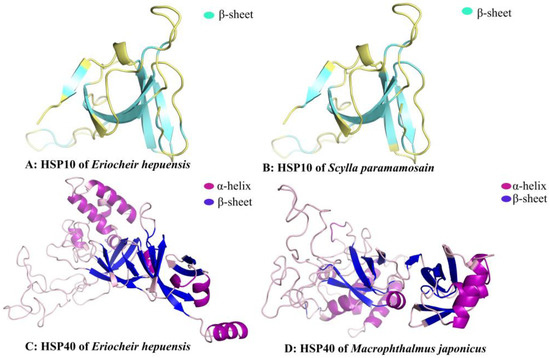Cloning of Two HSP Genes of Eriocheir hepuensis and Their Expression ...