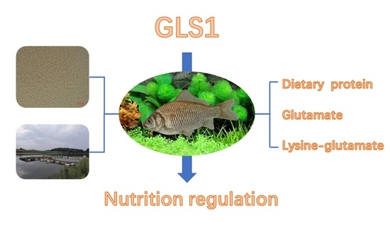 Fishes | Special Issue : Fish Nutrition and Physiology