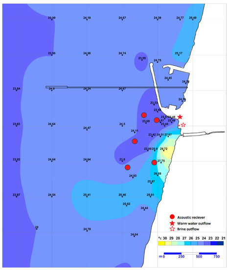 Depth Partitioning and Diel Movement of Two Large Carcharhinid Sharks ...