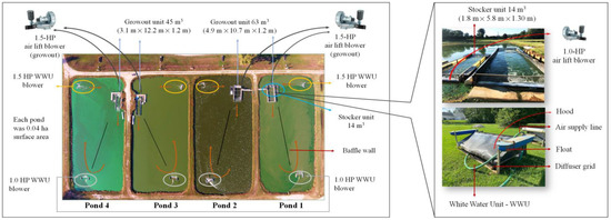 Bioeconomic Analysis of In-Pond Raceway System Production of Foodsize ...