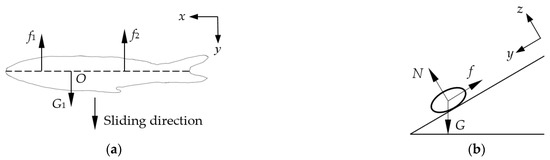 Design and Study of a Spindle-Shaped Fry Head-to-Tail Orientation Device