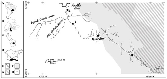 Integrative Analysis to Manage Aquatic Resources Based on Fish Feeding ...