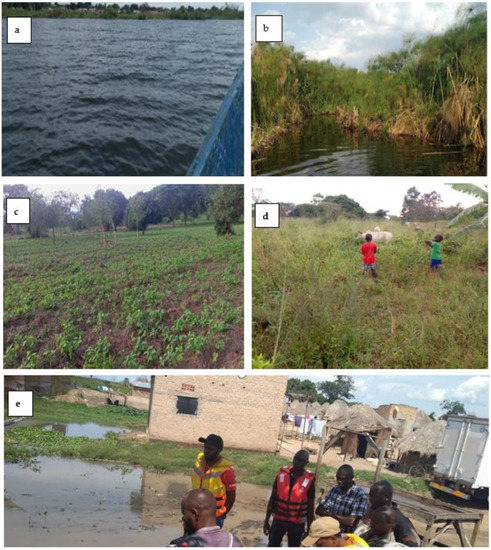Impacts of Land Cover Changes on Catches of Nile Perch and Nile Tilapia ...