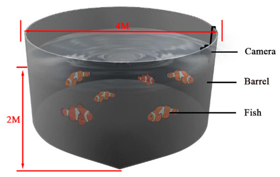 Diseased Fish Detection in the Underwater Environment Using an Improved ...
