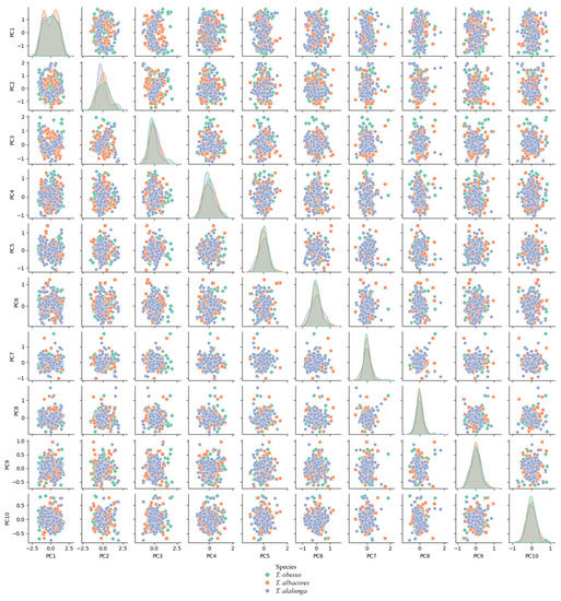 Automated Identification of Morphological Characteristics of Three Thunnus Species Based on ...
