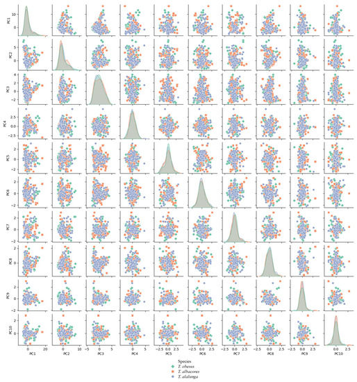 Automated Identification of Morphological Characteristics of Three Thunnus Species Based on ...