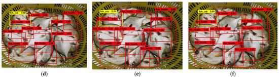 Fishes | Free Full-Text | Detection and Identification of Fish Skin ...