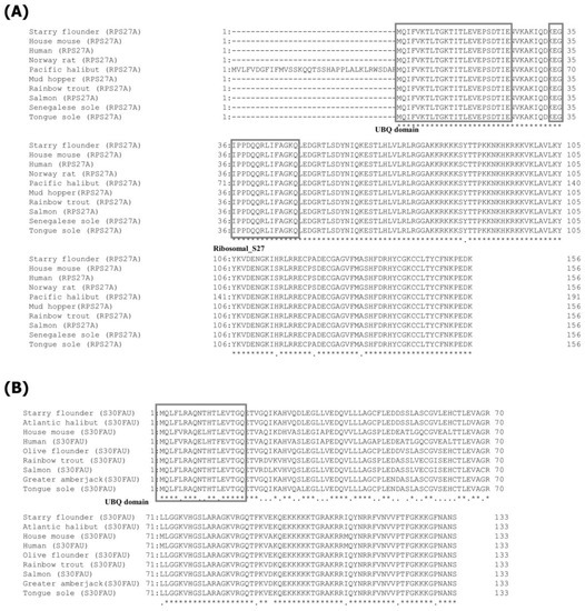 Antimicrobial Activity of Identified Ubiquitin-40S Ribosomal Protein ...