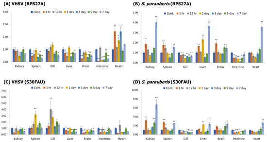 Antimicrobial Activity of Identified Ubiquitin-40S Ribosomal Protein ...
