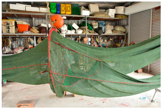 Juvenile and Trash Fish Excluder Device (JTED) for Taiwanese Bottom Trawl