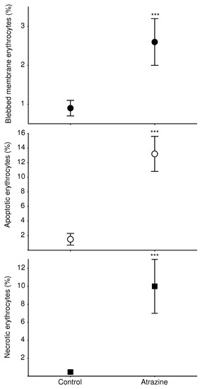 Cytotoxic Effects of the Atrazine Herbicide on Erythrocytes and Liver ...