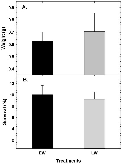 Short and Long-Term Effects of Early and Late Weaning on Atlantic Cod ...