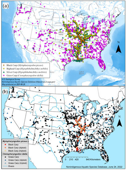 Amino Acid Variation at the Mitochondrial Binding Site of Antimycin A ...