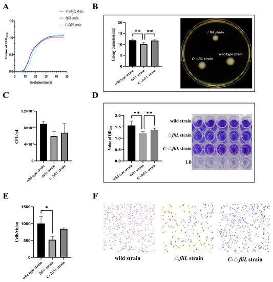 Effect of the Flagellar Gene fliL on the Virulence of Pseudomonas ...