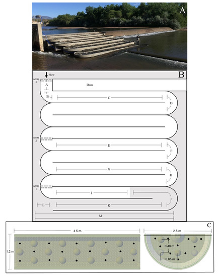 Fishes | Free Full-Text | Evaluation of a Prefabricated Fish Passage ...