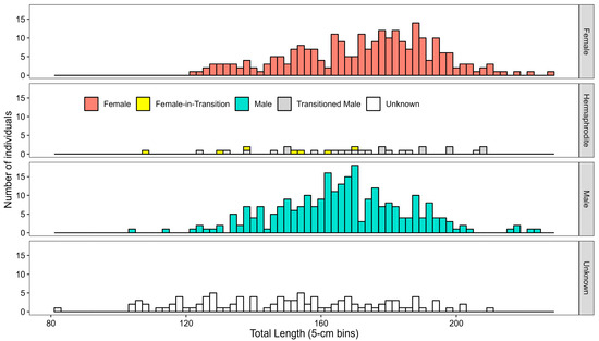 Age, Growth, and Functional Gonochorism with a Twist of Diandric ...