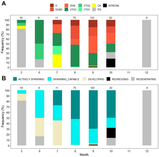 Age, Growth, and Functional Gonochorism with a Twist of Diandric ...