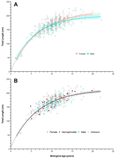 Age, Growth, and Functional Gonochorism with a Twist of Diandric ...