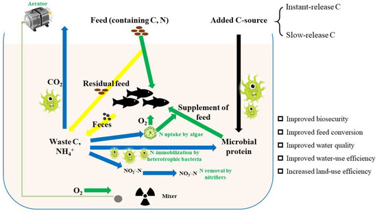 Optimized Utilization of Organic Carbon in Aquaculture Biofloc Systems ...