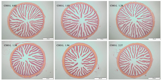 How Do Different Dietary Carbohydrate/Lipid Ratios Influence Intestinal ...