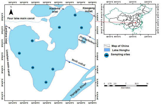 Is a Fishing Moratorium Needed in Lake Honghu, Southern China? A ...