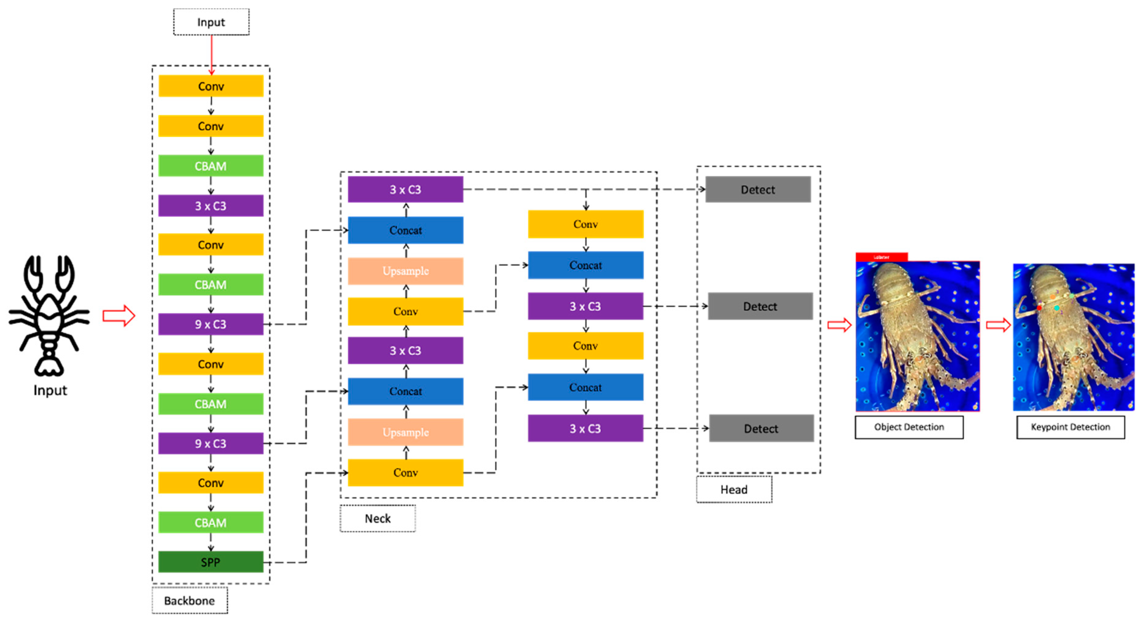 Advanced Robotic System With Keypoint Extraction And Yolov5 Object Detection Algorithm For