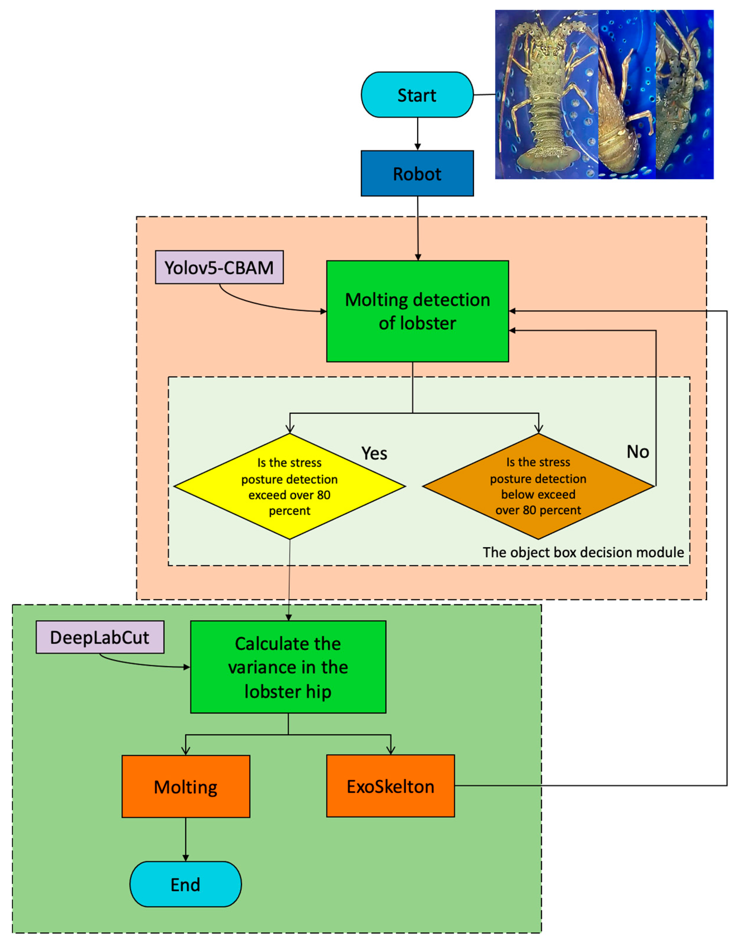 Advanced Robotic System With Keypoint Extraction And Yolov5 Object Detection Algorithm For