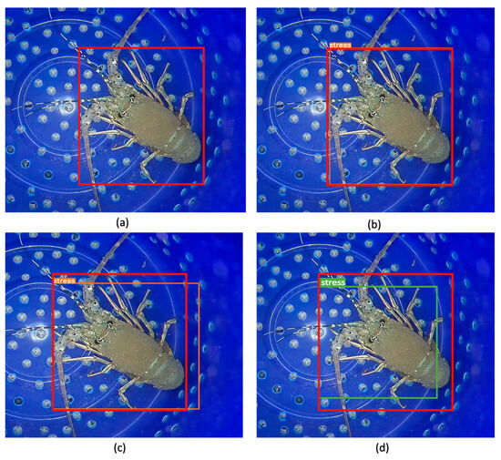 Advanced Robotic System With Keypoint Extraction And Yolov5 Object Detection Algorithm For