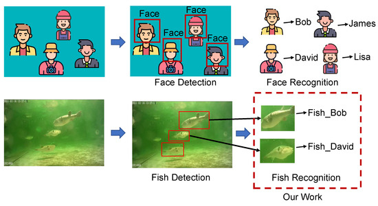 Fish Recognition in the Underwater Environment Using an Improved ...