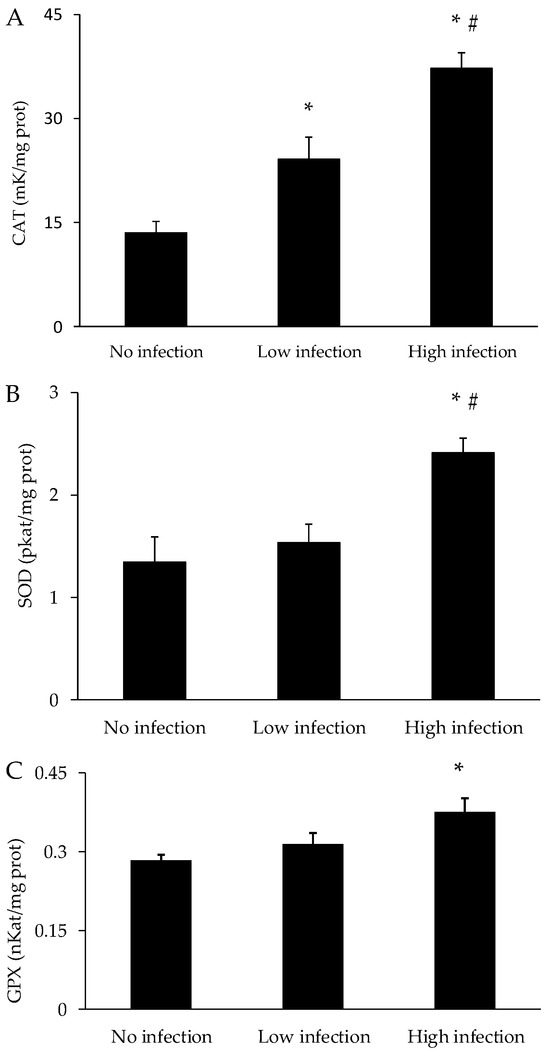 Immune and Oxidative Stress Response of the Fish Xyrichthys novacula ...