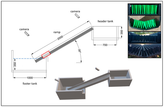 The Eel Ascending: The Influence of Lateral Slope, Climbing Substrate ...