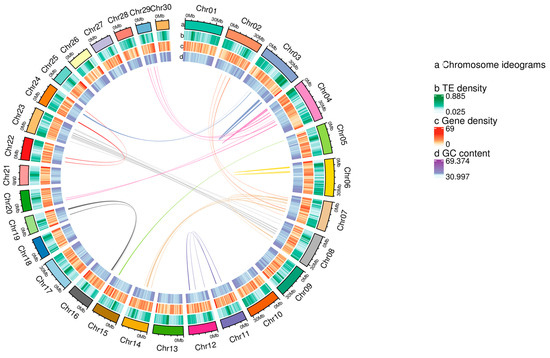 Comparative Genomic Analysis Unveils Potential Factors Contributing to ...