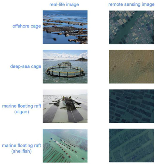 Review of the Accuracy of Satellite Remote Sensing Techniques in ...