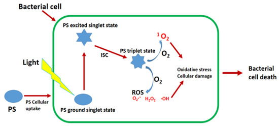Applications of Antimicrobial Photodynamic Therapy in Aquaculture ...