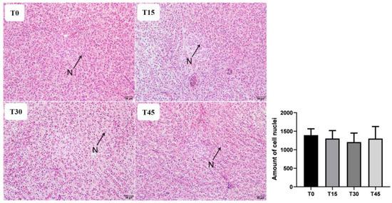 Effects of Dietary Fish Meal Replaced by Cottonseed Protein Concentrate ...