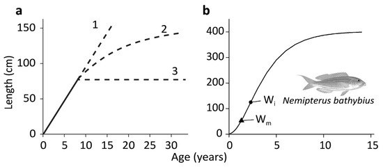 The Relationship between Mean Length at Maturity and Maximum Length in ...