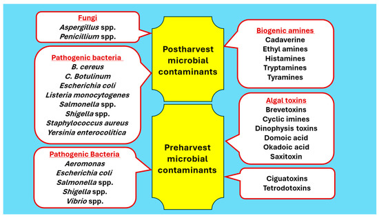 Safety, Processing, and Utilization of Fishery Products