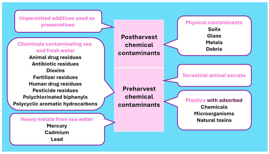 Safety, Processing, and Utilization of Fishery Products