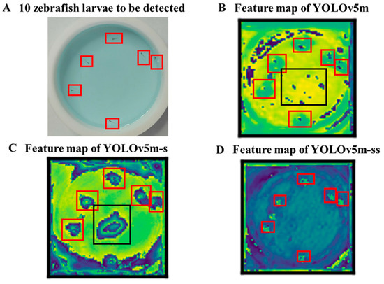 Quantifying Variability in Zebrafish Larvae Locomotor Behavior across Experimental Conditions: A ...